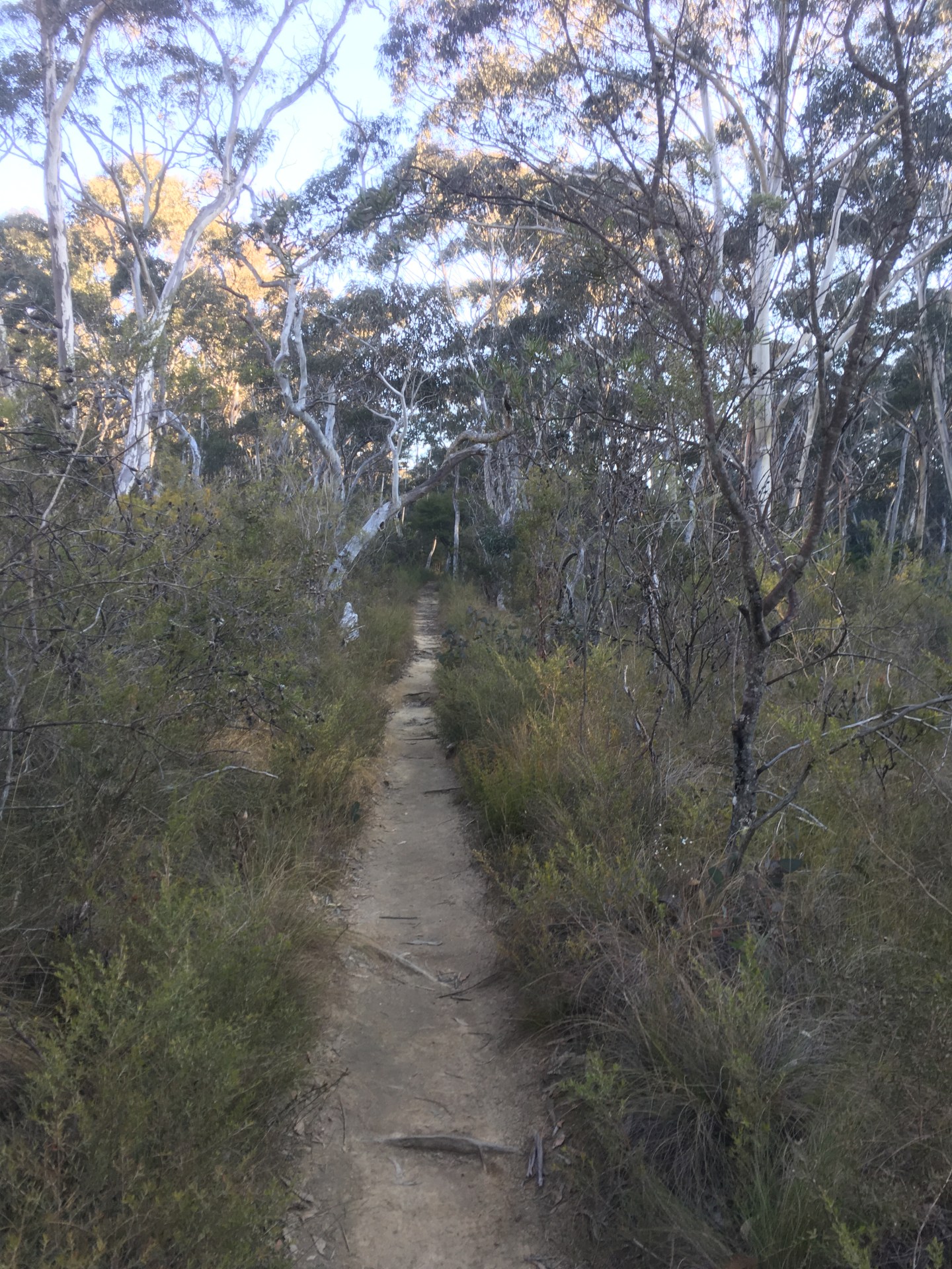 For Organisations – A Grounded Nature